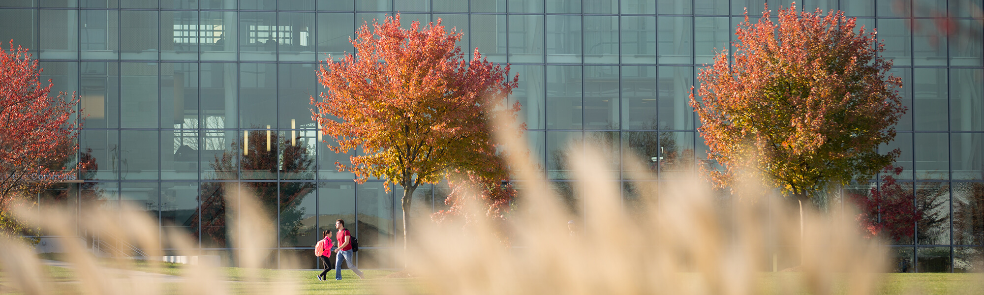 Growth Mindset vs Fixed Mindset - Pew Faculty Teaching and Learning ...